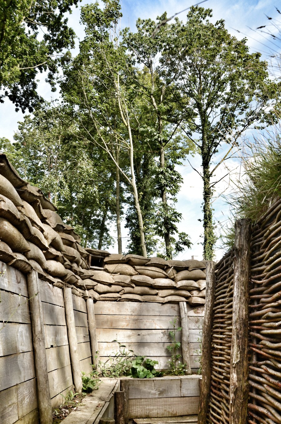 The Western Front: WW1 Trench Warfare – Old Front Line
