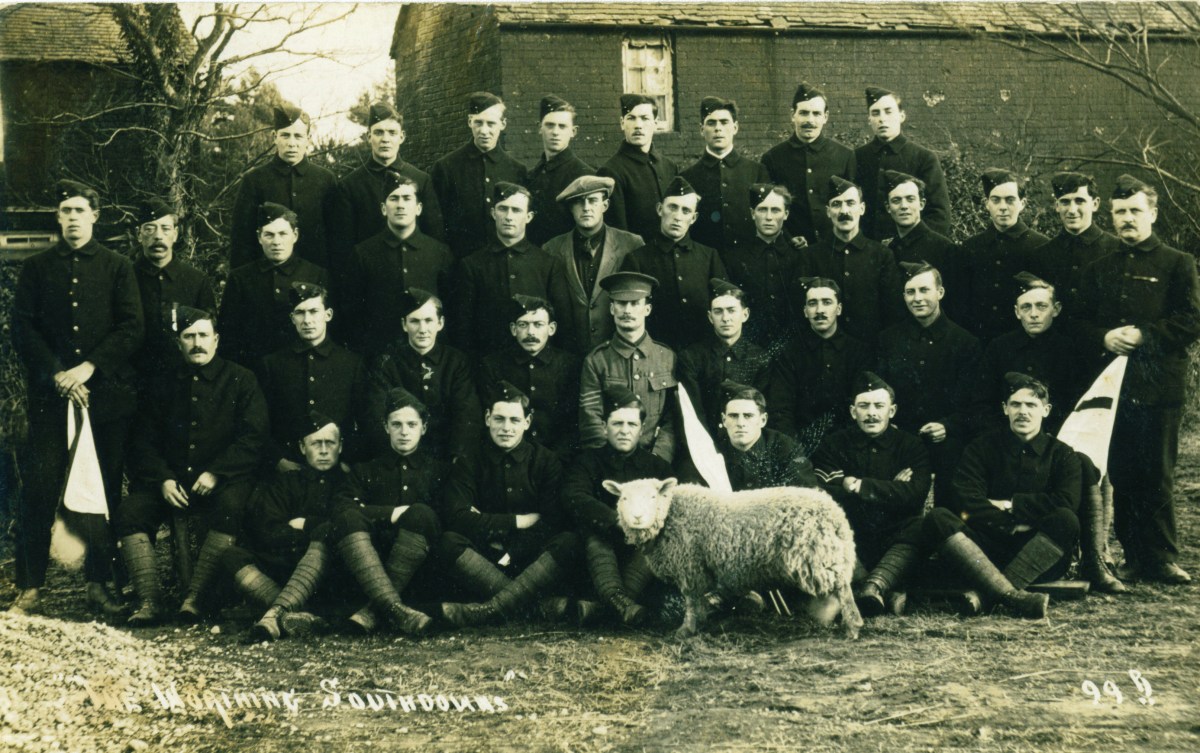 Old Front Line – WW1 Podcast with Paul Reed