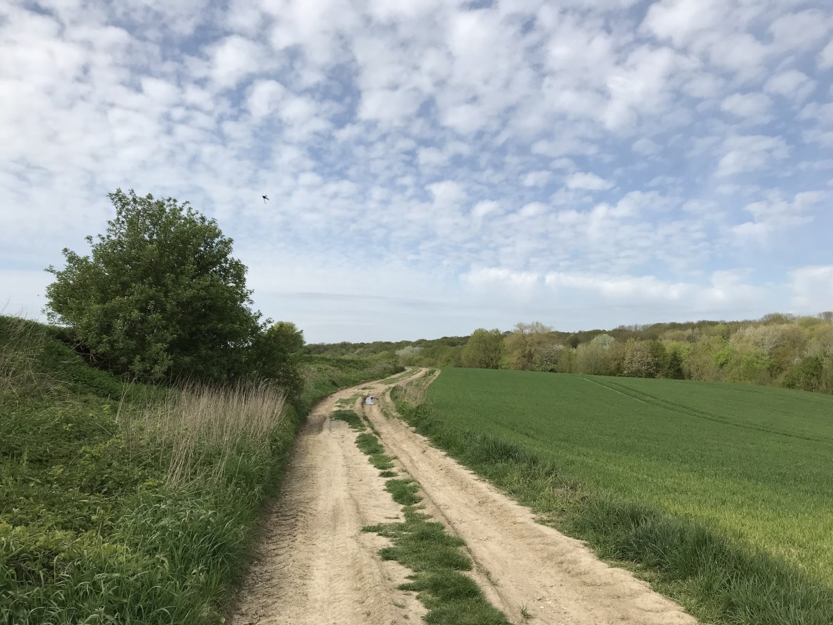 Somme 1916: Nab Valley – Old Front Line