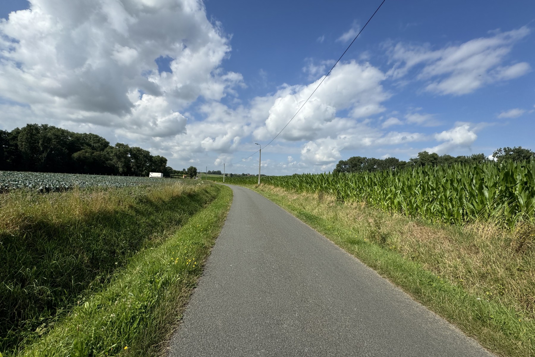 Old Front Line – WW1 Podcast with Paul Reed